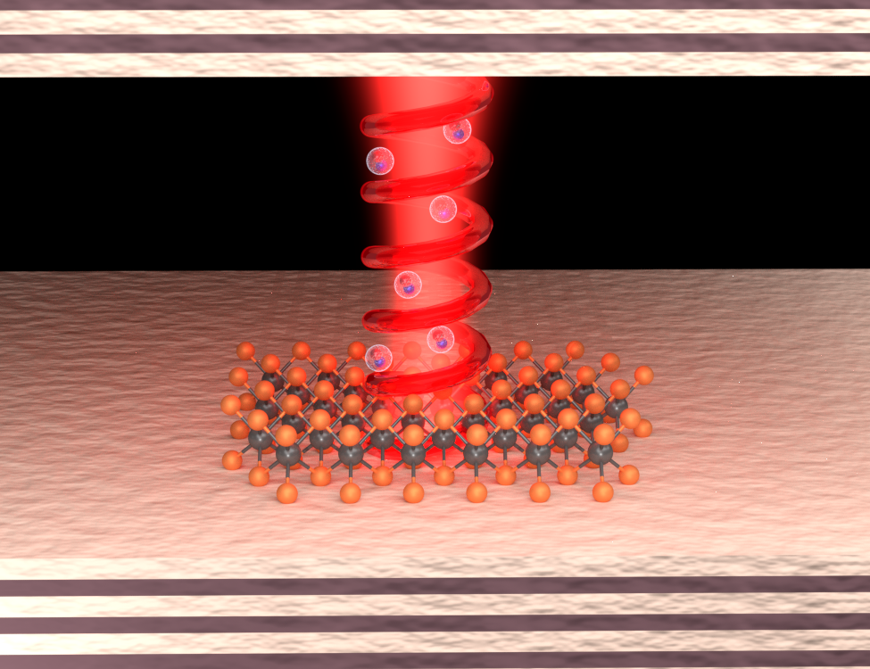 TMD monolayers in microcavities – Exciton-polariton research group